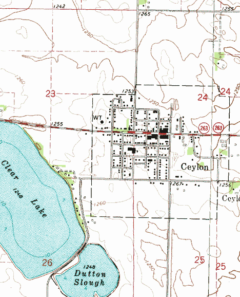 Guide to Ceylon Minnesota