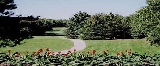 Guide to Motley Minnesota